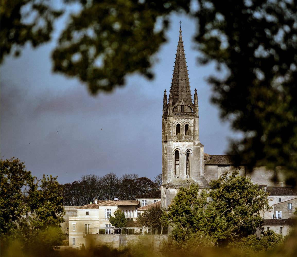 Albert Macquin - Château Pavie Macquin