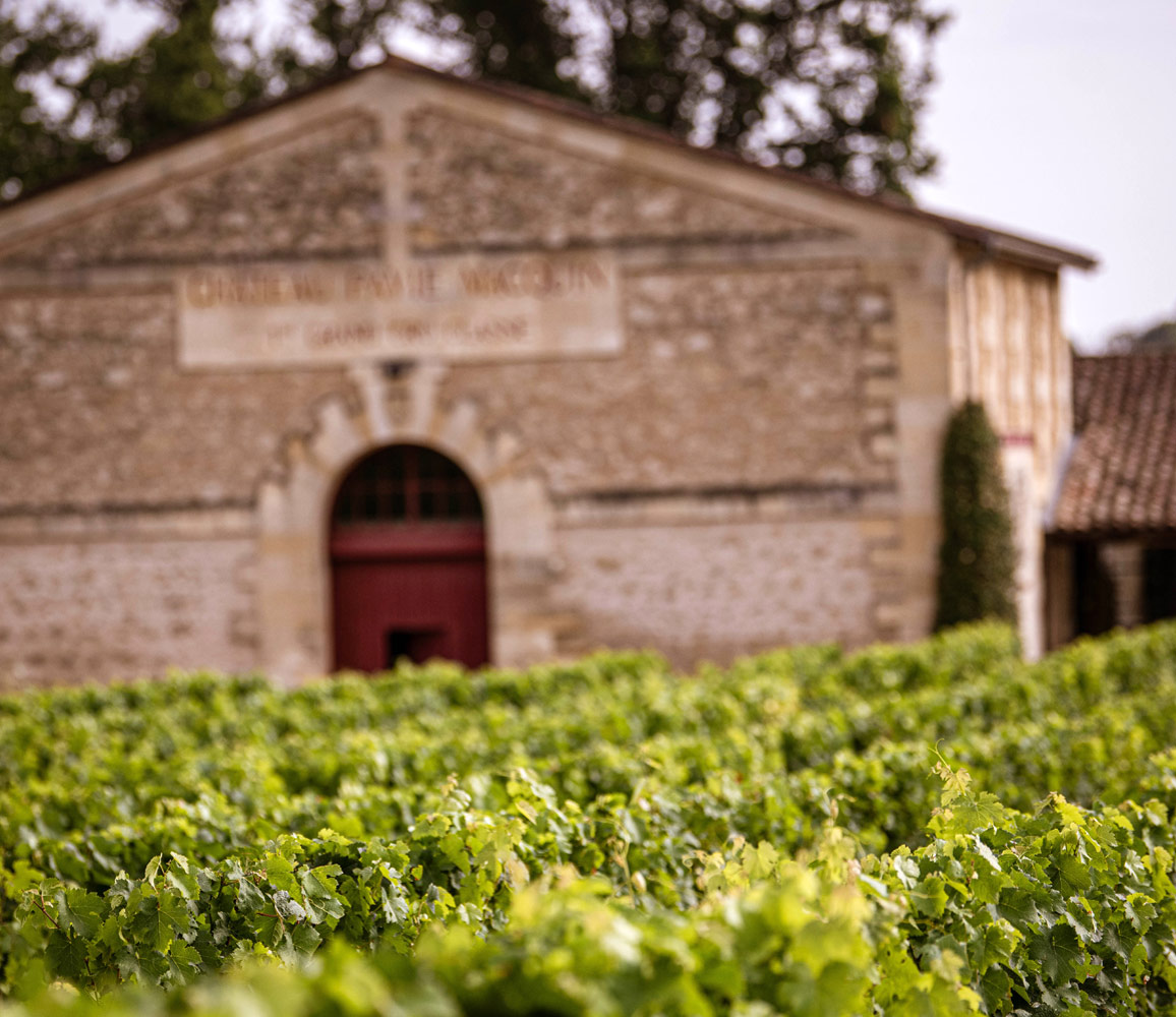 Albert Macquin - Château Pavie Macquin